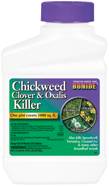 Four Weed Killers that Work | Patuxent Nursery