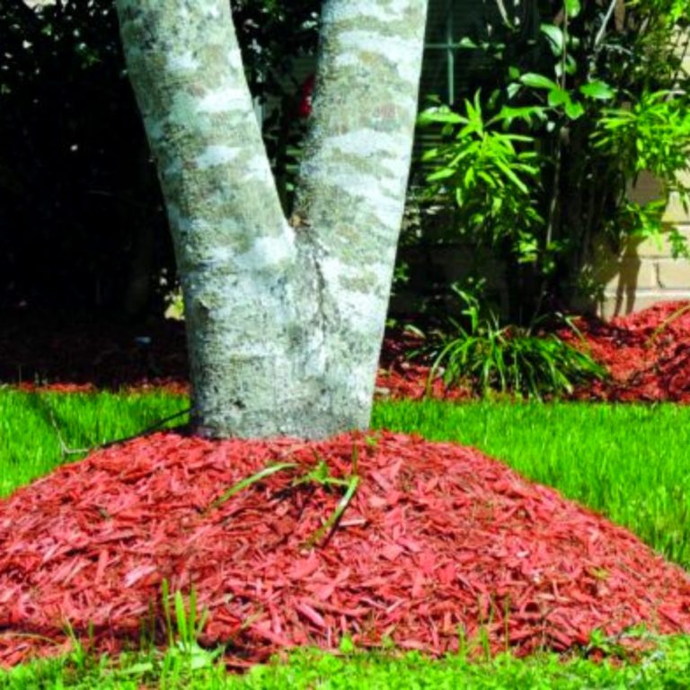 Benefits of Mulching Your Garden | Patuxent Nursery
