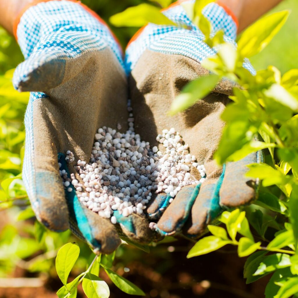 Grow an Organic Vegetable Garden | Patuxent Nursery Garden Blog