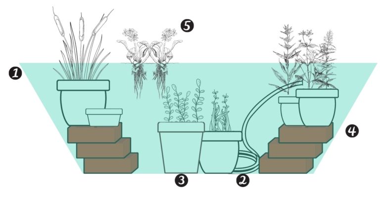 Better Your Backyard Design With Water | Patuxent Garden Blog