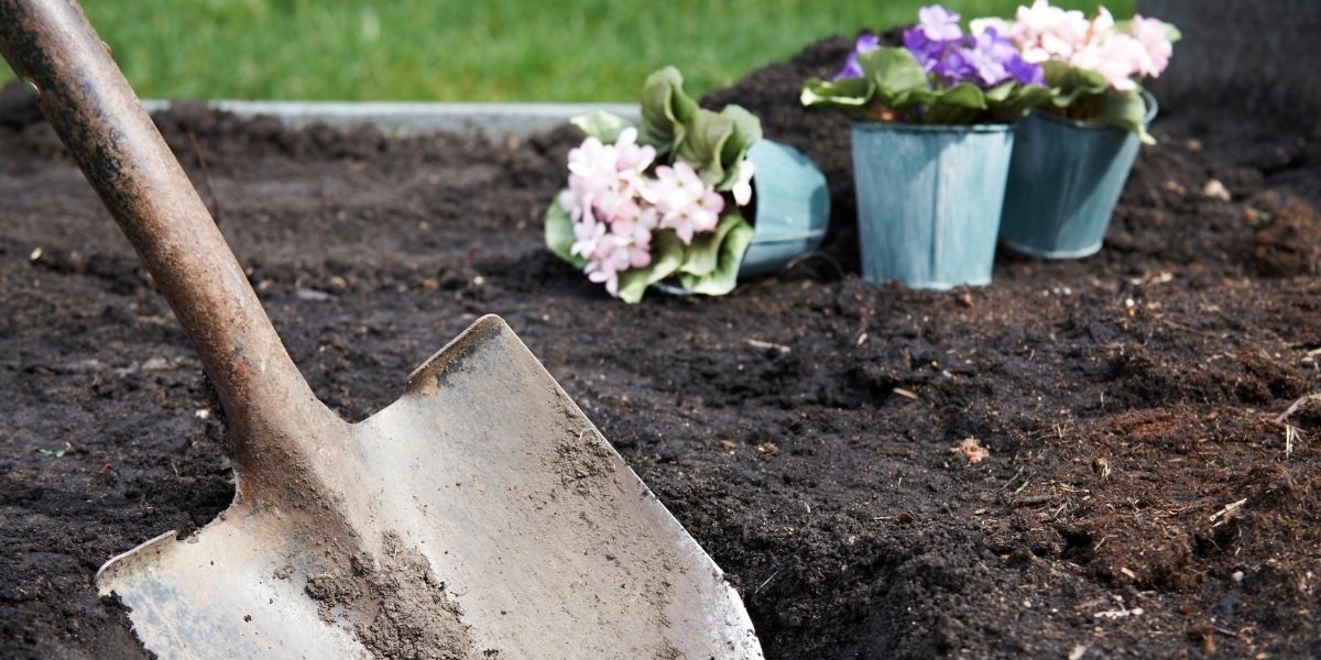 How To Create the Perfect Spring Garden | Patuxent Nursery | Bowie MD