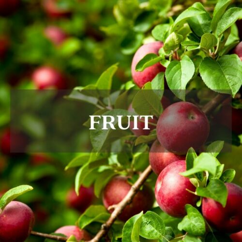 Buy Trees in Bowie, MD | Patuxent Nursery | Maryland Plant Nursery