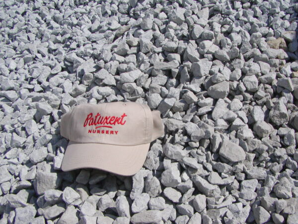 Bluestone #57 | Patuxent Nursery