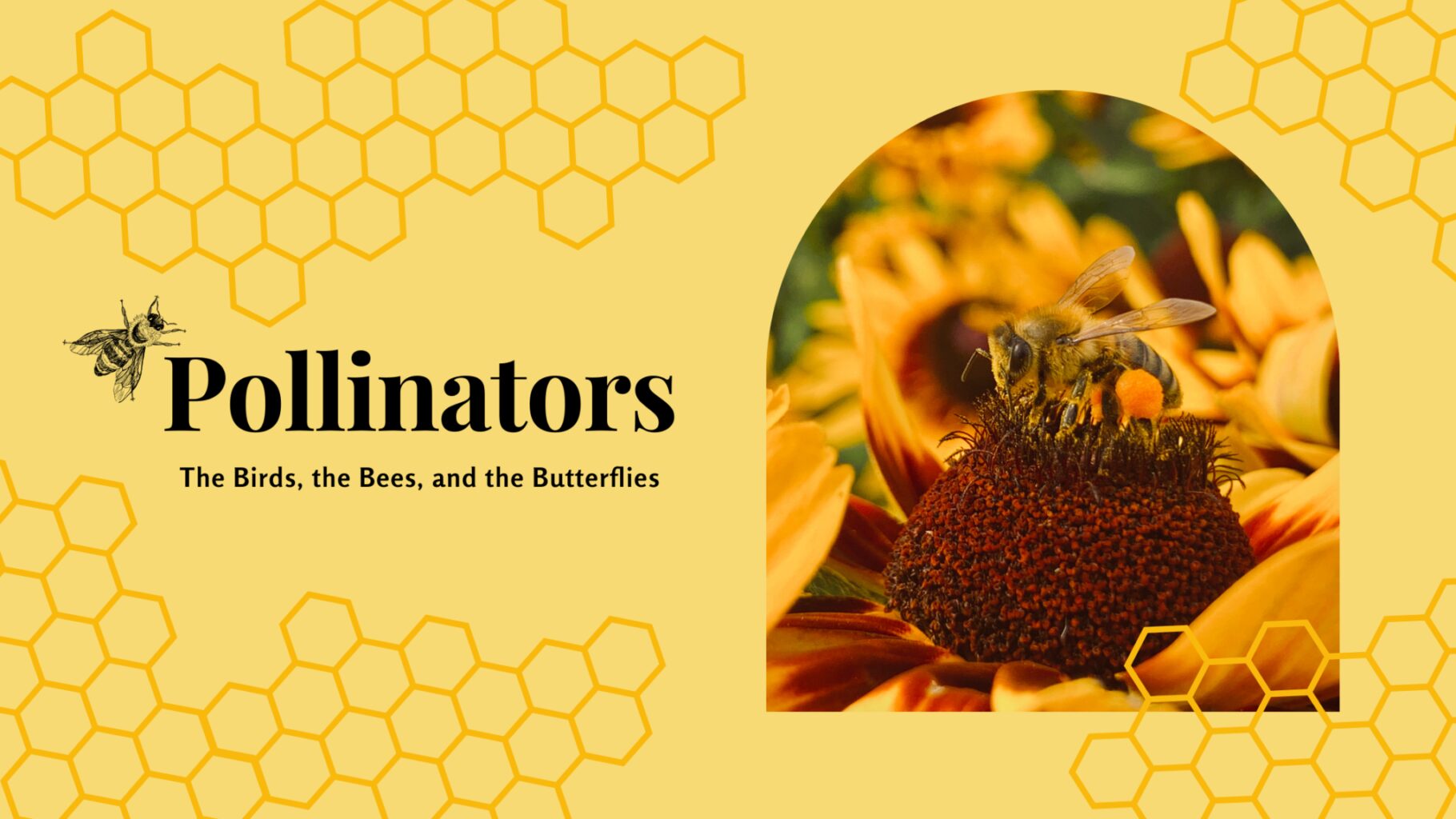 Pollinators: The Birds, the Bees, and the Butterflies