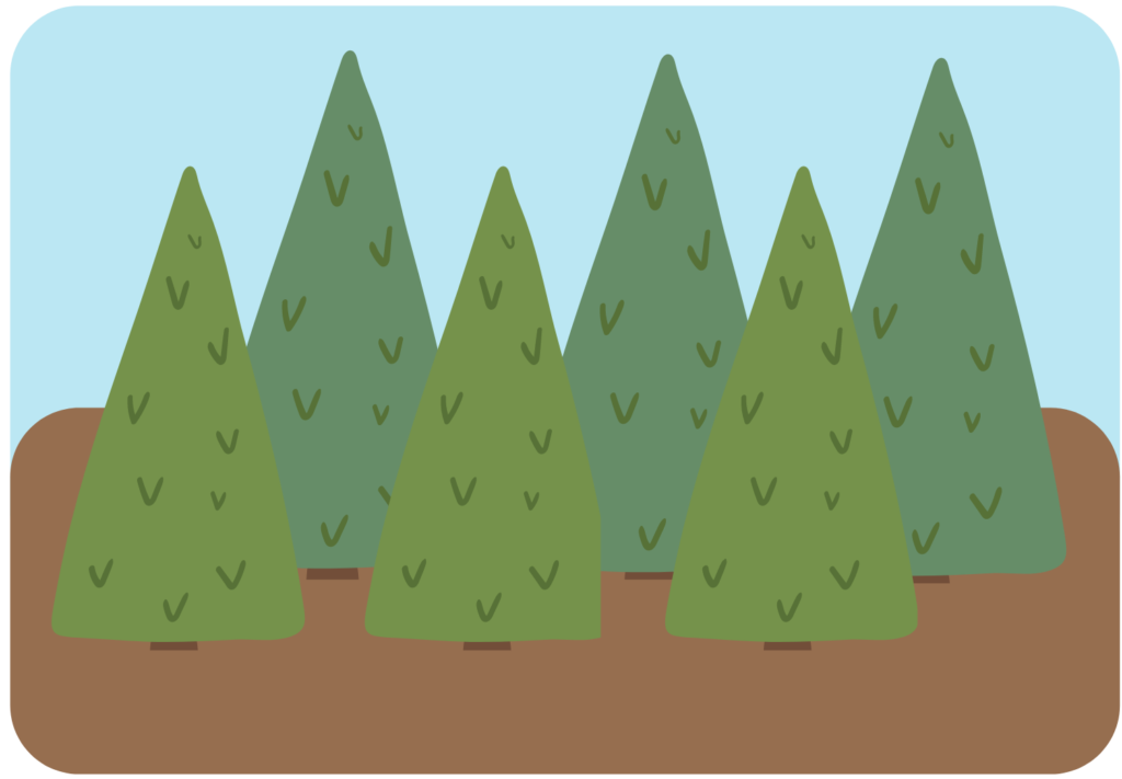 All About Green Screening | Patuxent Nursery