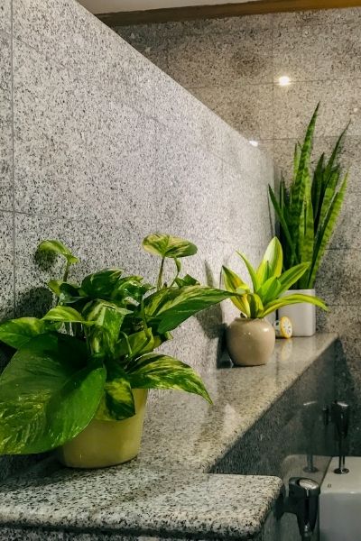 What is a Plant Stylist and What Do They Do? | Patuxent Nursery