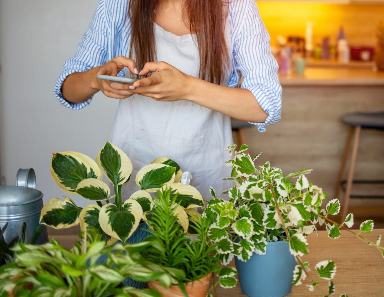 What is a Plant Stylist and What Do They Do? | Patuxent Nursery