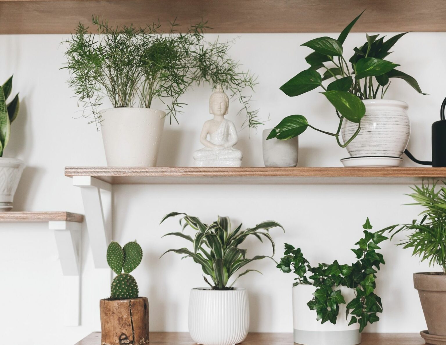 What is a Plant Stylist and What Do They Do? | Patuxent Nursery