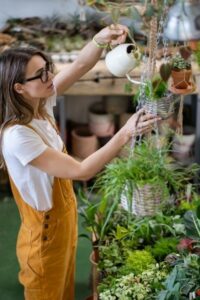 What is a Plant Stylist and What Do They Do? | Patuxent Nursery