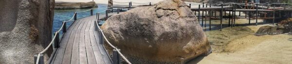 5 Ways To Incorporate Boulders Into Your Landscape | Patuxent Nursery