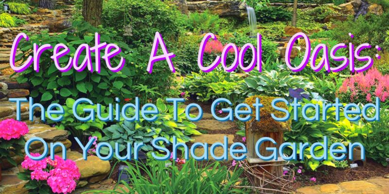 Create A Cool Oasis: The Guide To Get Started On Your Shade Garden