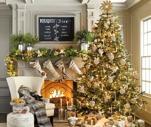 The Ultimate Guide To Choosing And Caring For Nordmann Fir, Noble Fir ...