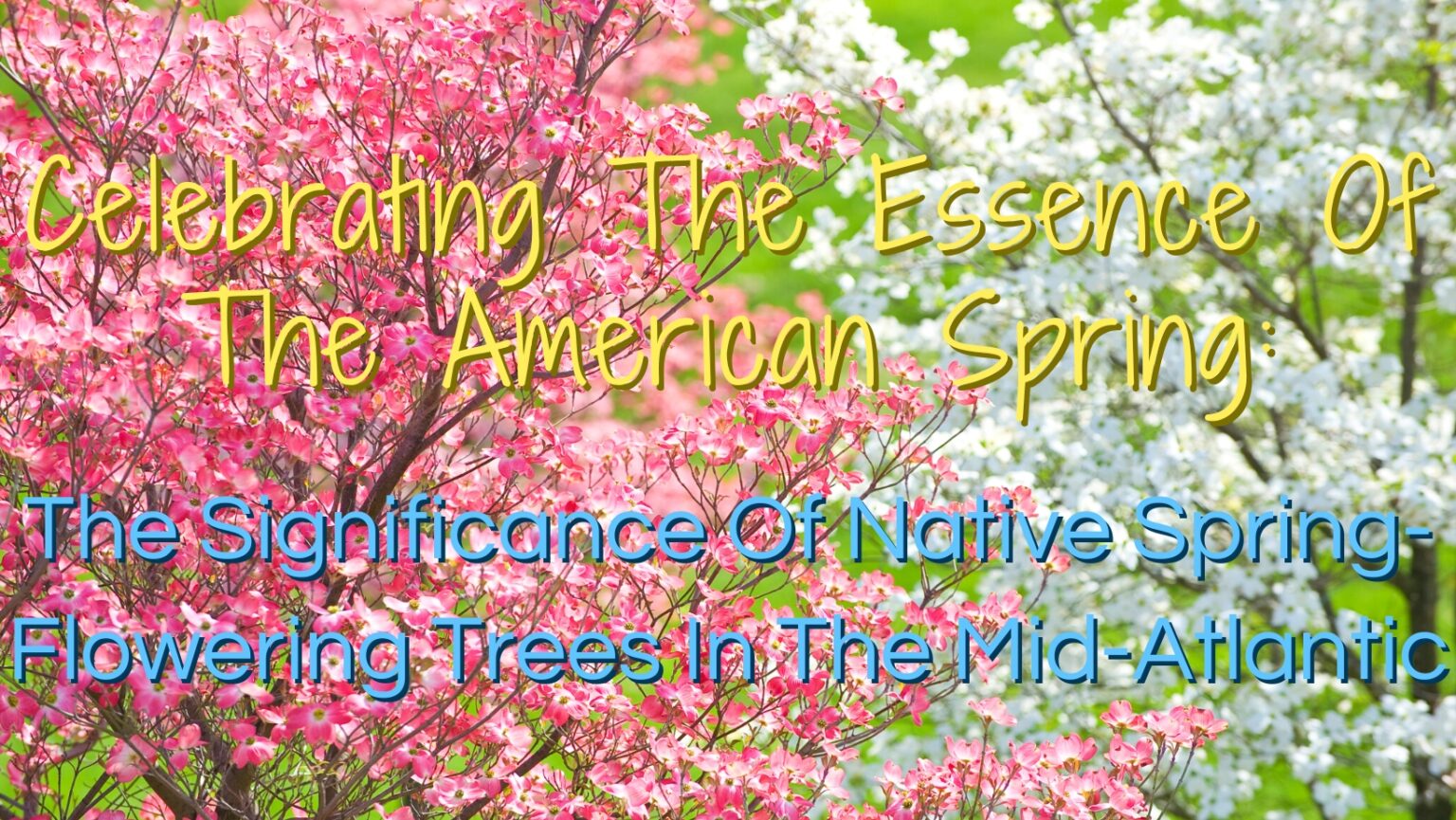 Celebrating The Essence Of The American Spring: The Significance Of ...
