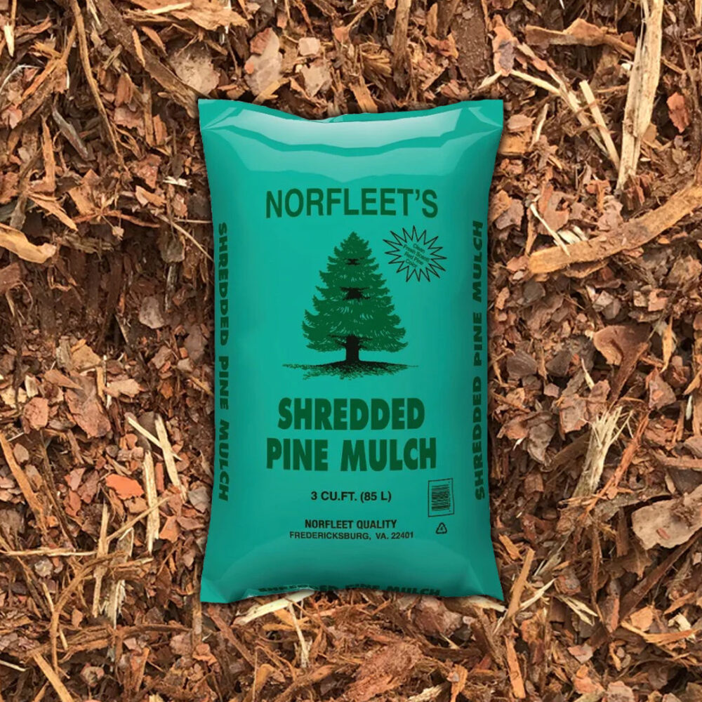 Shredded Pine Mulch - Patuxent Nursery